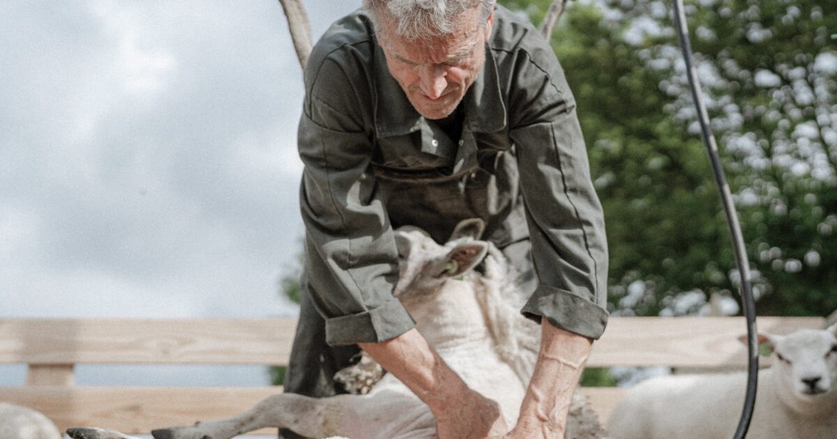 Texel Wool: Wool that helps you toss less. | Greensleep